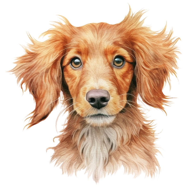 10 Cute Dog Portraits Clipart Watercolor Graphics Digital Download Dogs ...
