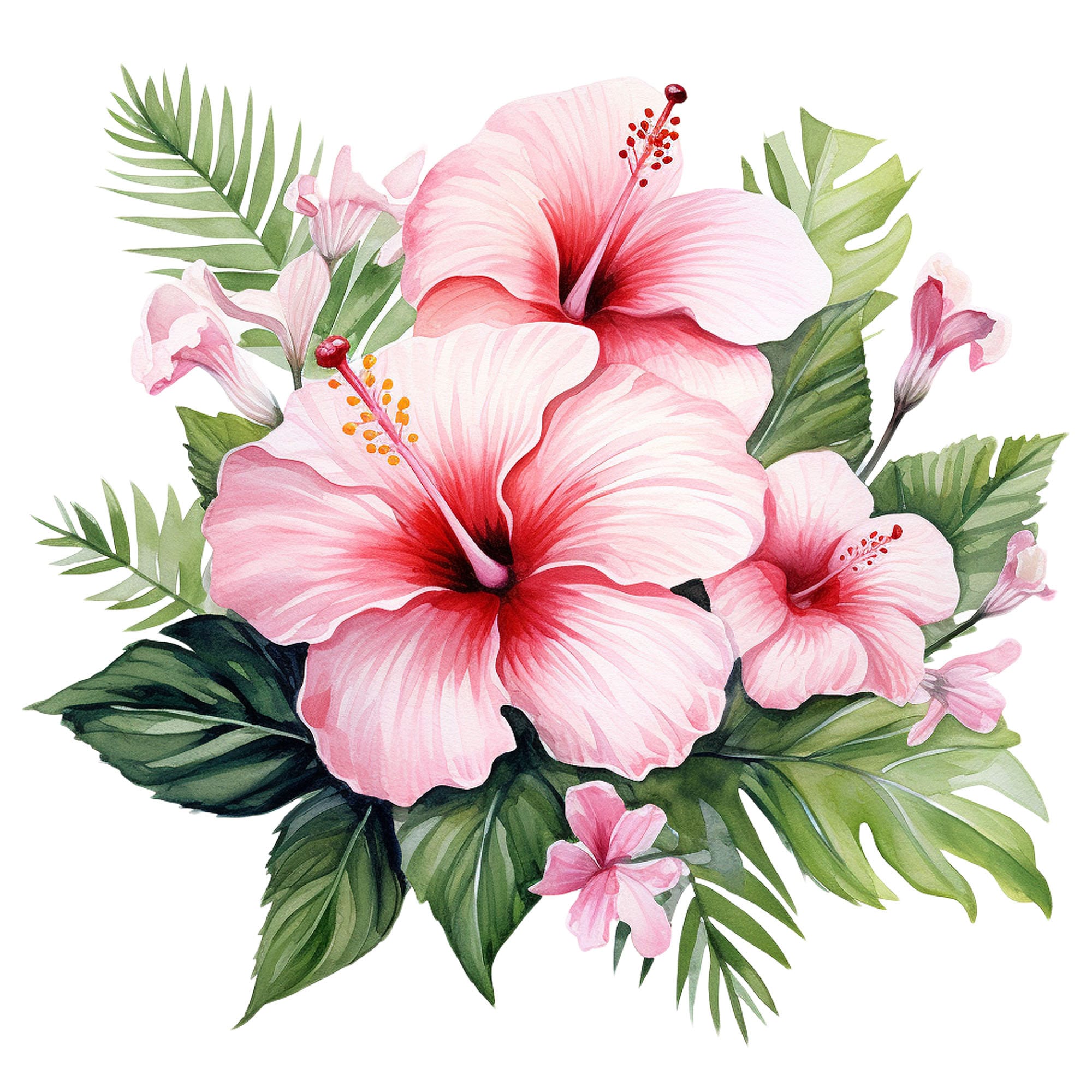 Pink Hibiscus Clipart
