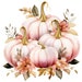 10 Pink and Gold Floral Pumpkins Watercolor Clipart Graphics ...