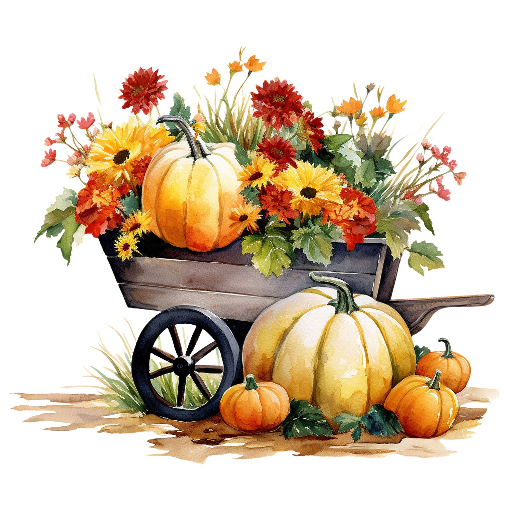 6 Pumpkins and Flowers Watercolor Clipart Graphics Digital Download PNG ...