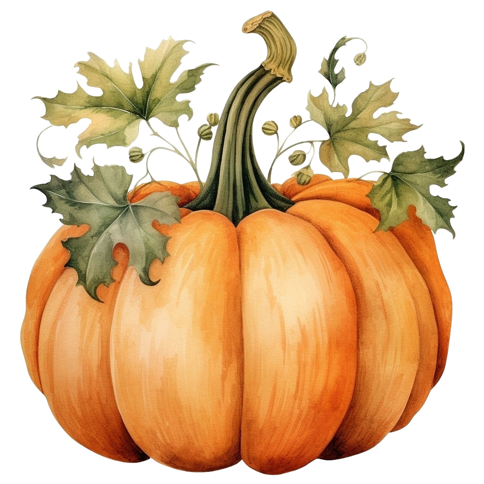 15 Watercolor Autumn Theme Clipart Graphics Digital PNG Files for ...