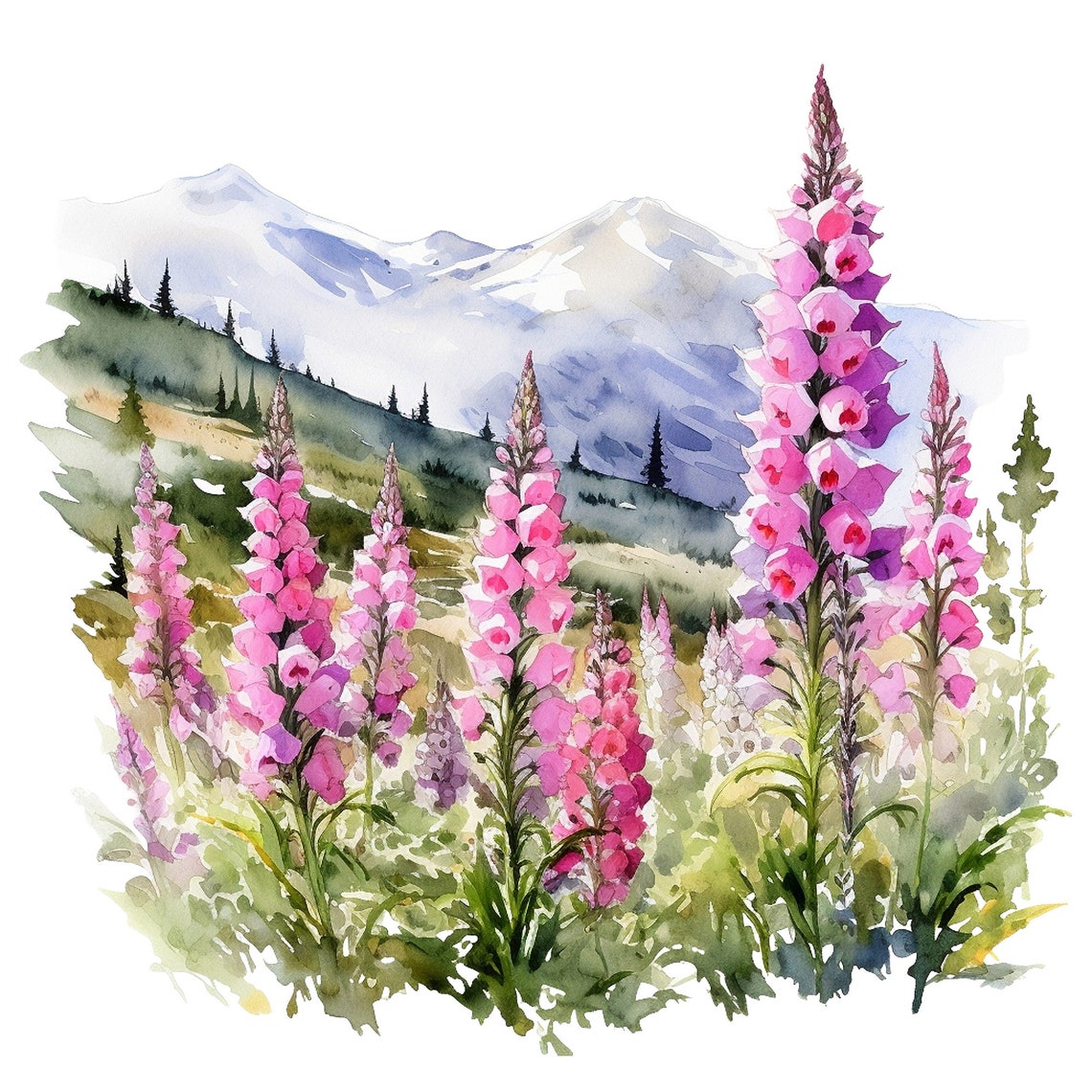 10 Watercolor Alpine Flowers Scenery Clipart – Printable PNG Files ...