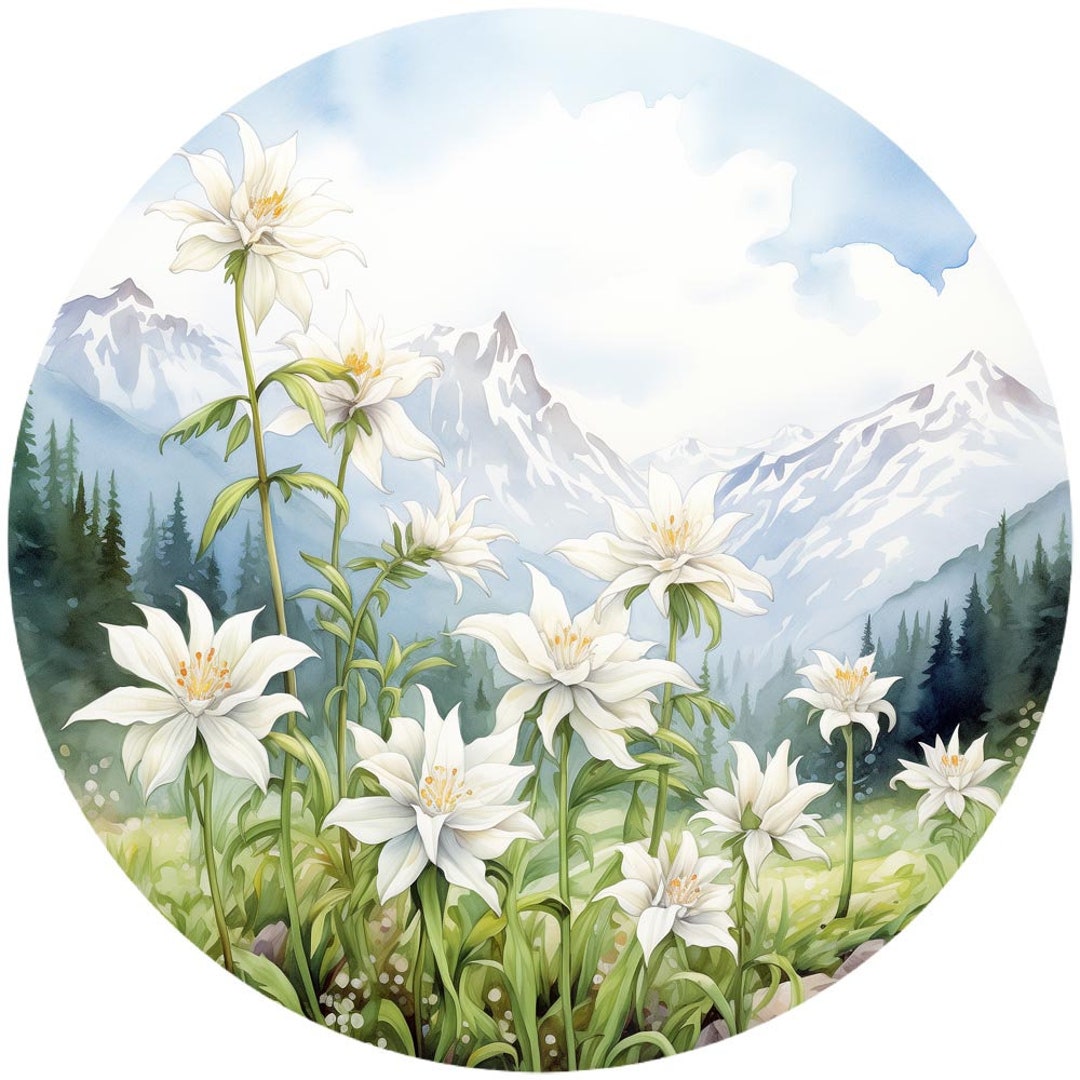10 Watercolor Alpine Flowers Clipart Circle Graphics - Printable PNG ...
