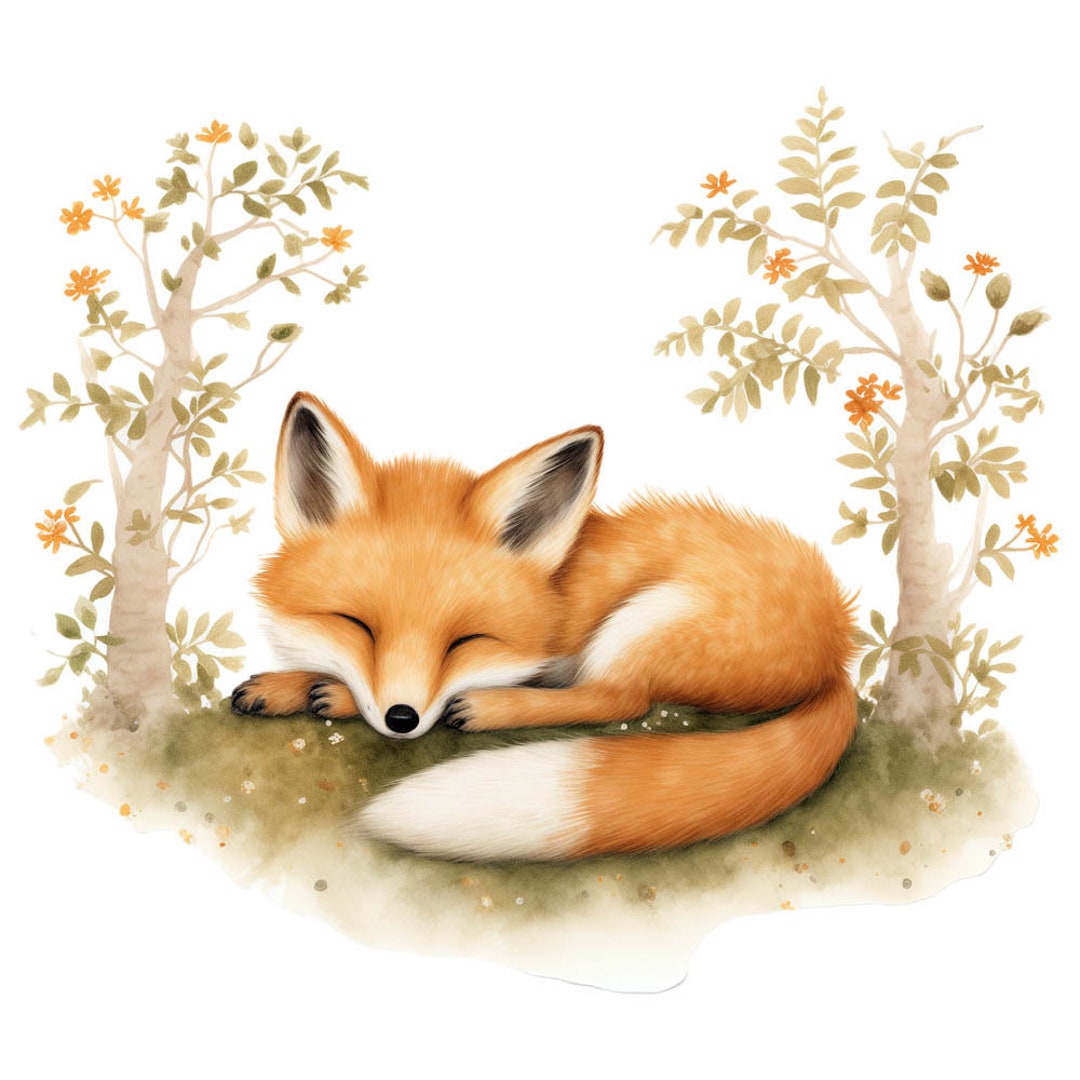 4 Cute Sleeping Fox Clipart Watercolor Graphics PNG Files for ...
