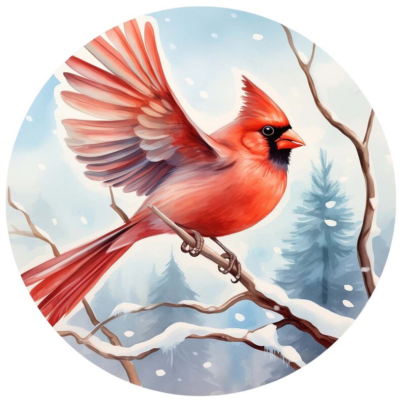10 Watercolor Winter Red Cardinal Bird Circle Graphics - Etsy