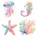 10 Watercolor Preppy Sea Creatures Clipart – Nautical PNG Graphics ...