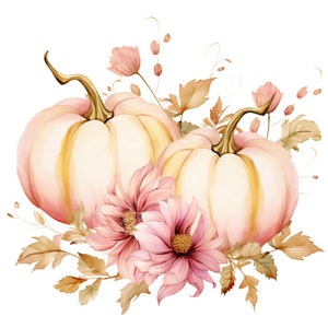 10 Pink and Gold Floral Pumpkins Watercolor Clipart Graphics ...