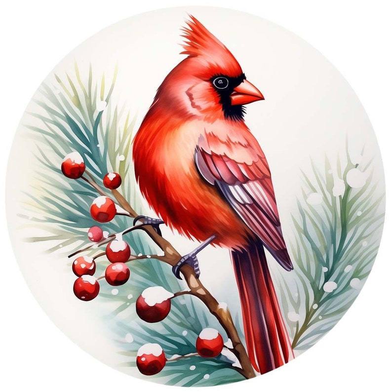 10 Watercolor Winter Red Cardinal Bird Circle Graphics - Etsy