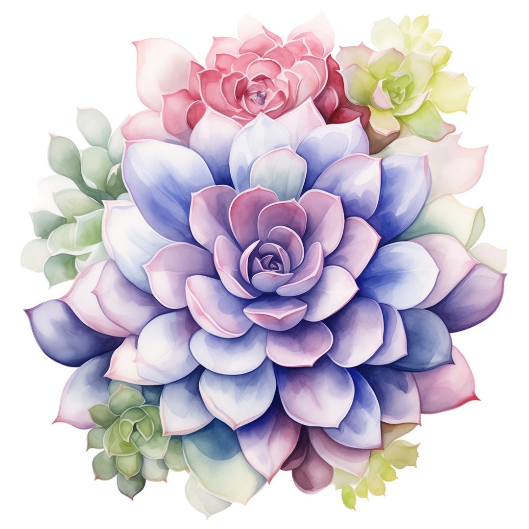 16 Watercolor Succulents Clipart Botanical Graphics - Digital Download ...