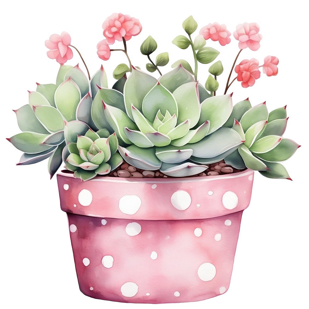 10 Cute Pastel Succulents Watercolor Clipart Graphics Digital Download ...