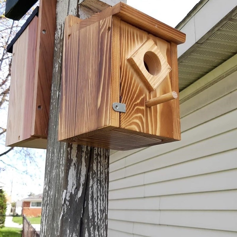 Wren Nest Box - Etsy