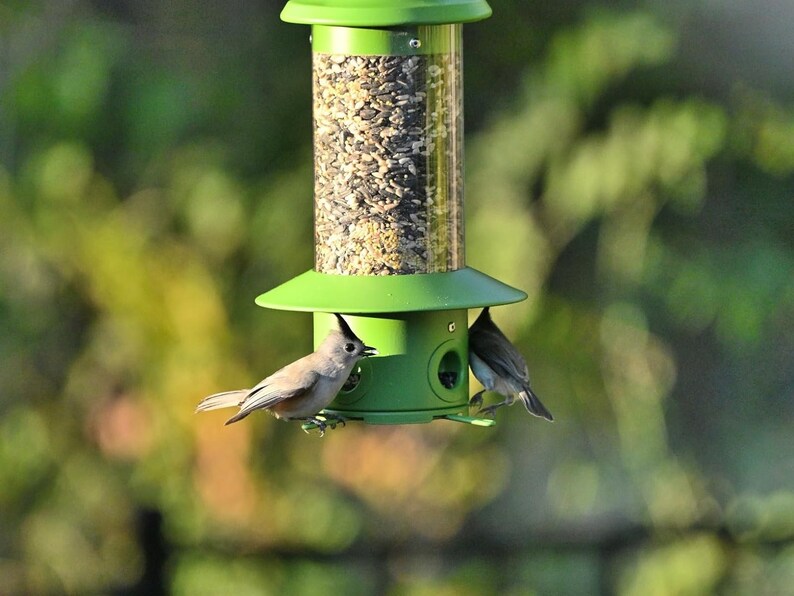 5-pound Seed Capacity Bird Feeder for Outdoors Tree Hanging Bird ...