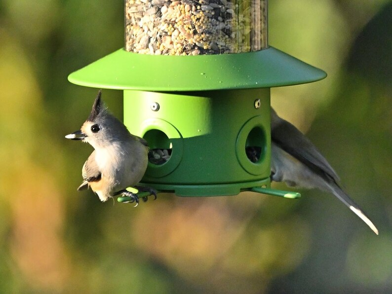 5-pound Seed Capacity Bird Feeder for Outdoors Tree Hanging Bird ...