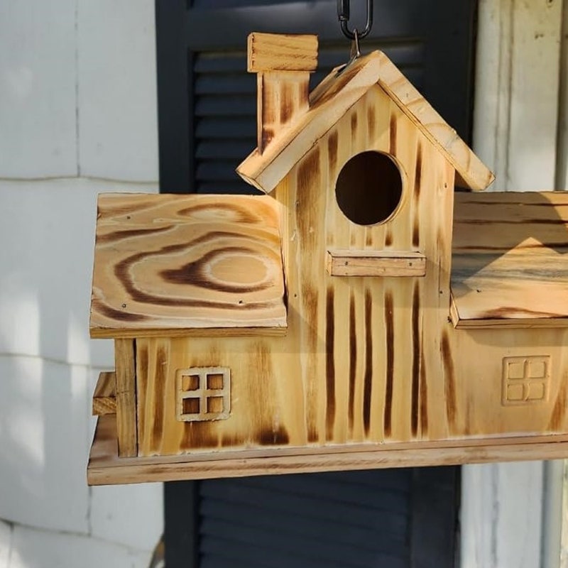 Robin Bird House - Etsy