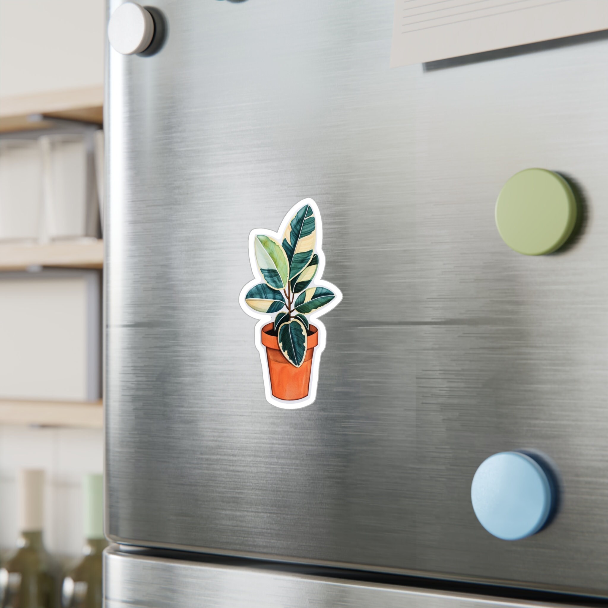 Variegated Rubber Plant Sticker V2 I Houseplant Sticker I Plant Sticker ...