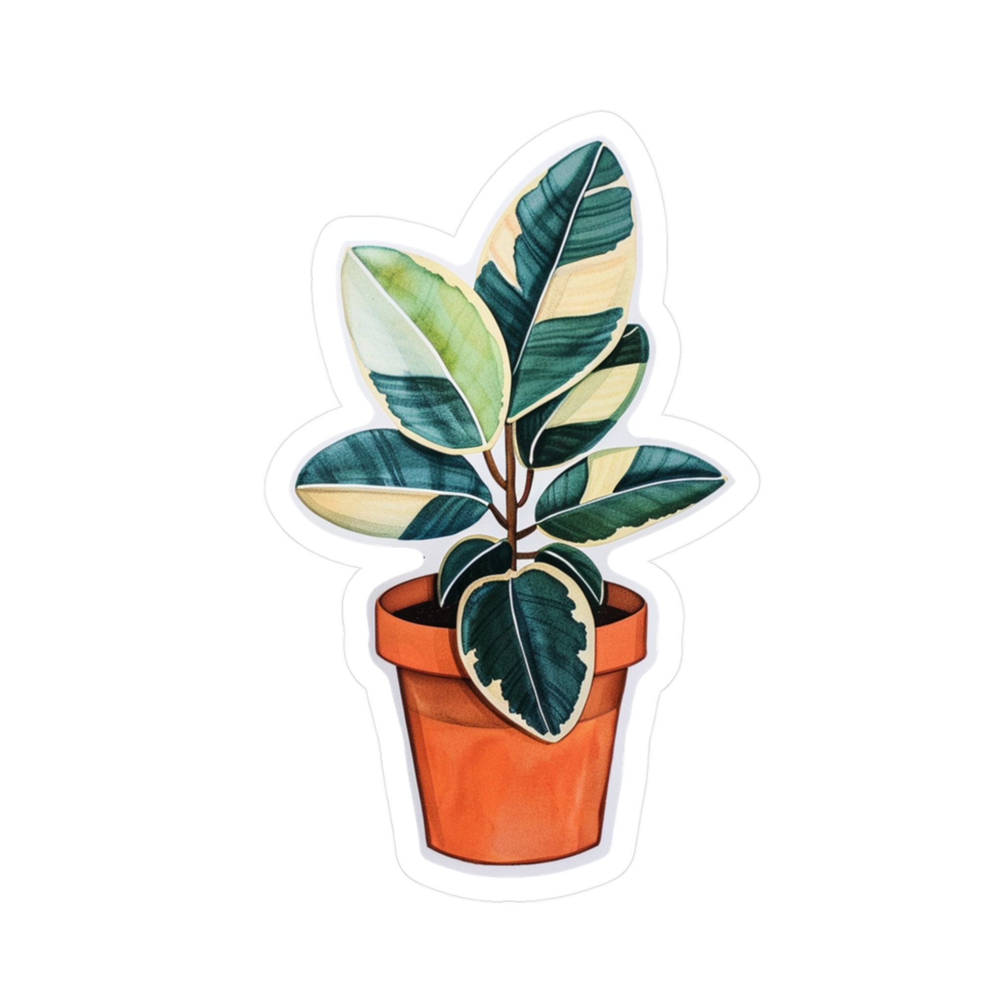 Variegated Rubber Plant Sticker V2 I Houseplant Sticker I Plant Sticker ...