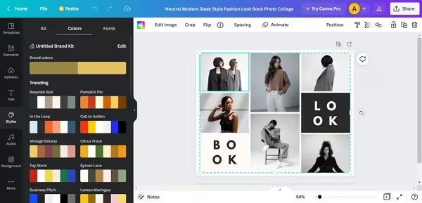 Canva - Crash Course - How to Guide With Master Resell Rights (MRR) and ...