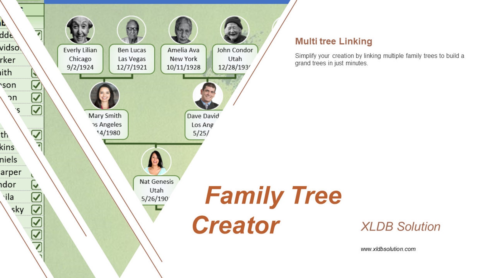 Family Tree Creator Bundle Excel Spreadsheet, Branched Timmi Genealogy ...