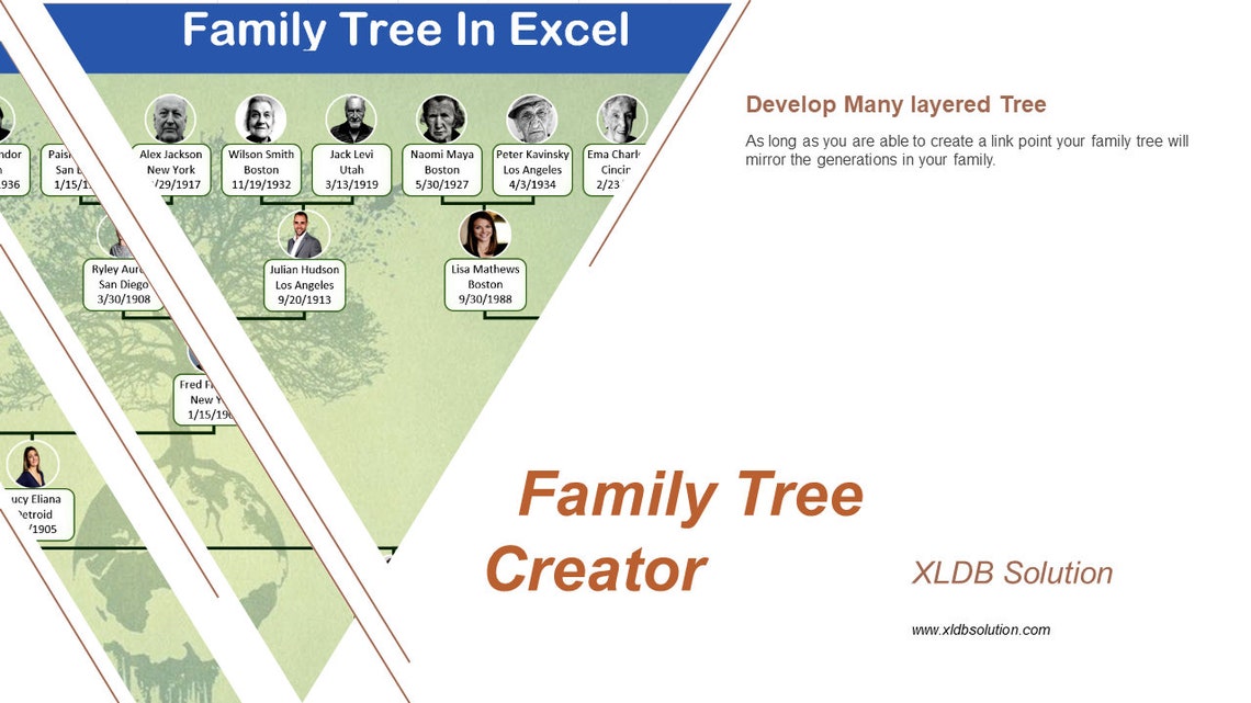 Family Tree Creator Bundle Excel Spreadsheet, Branched Timmi Genealogy ...