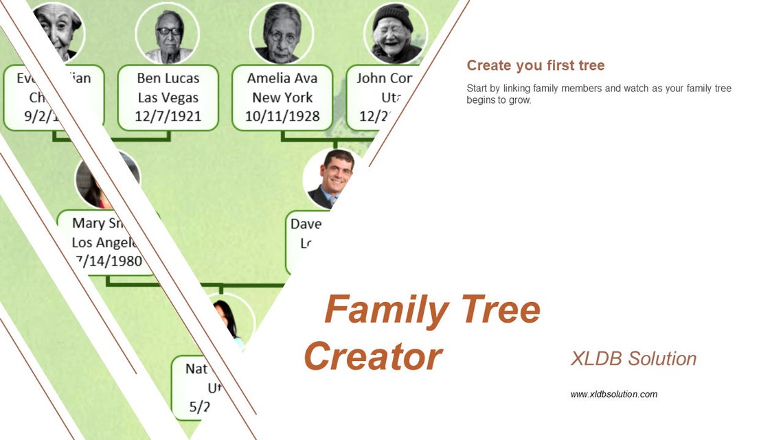Family Tree Creator Bundle Excel Spreadsheet, Branched Timmi Genealogy ...