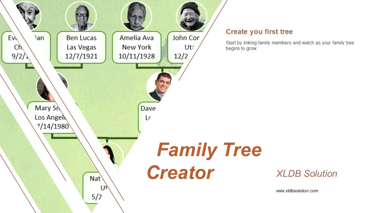 Family Tree Creator Bundle Excel Spreadsheet, Branched Timmi Genealogy ...
