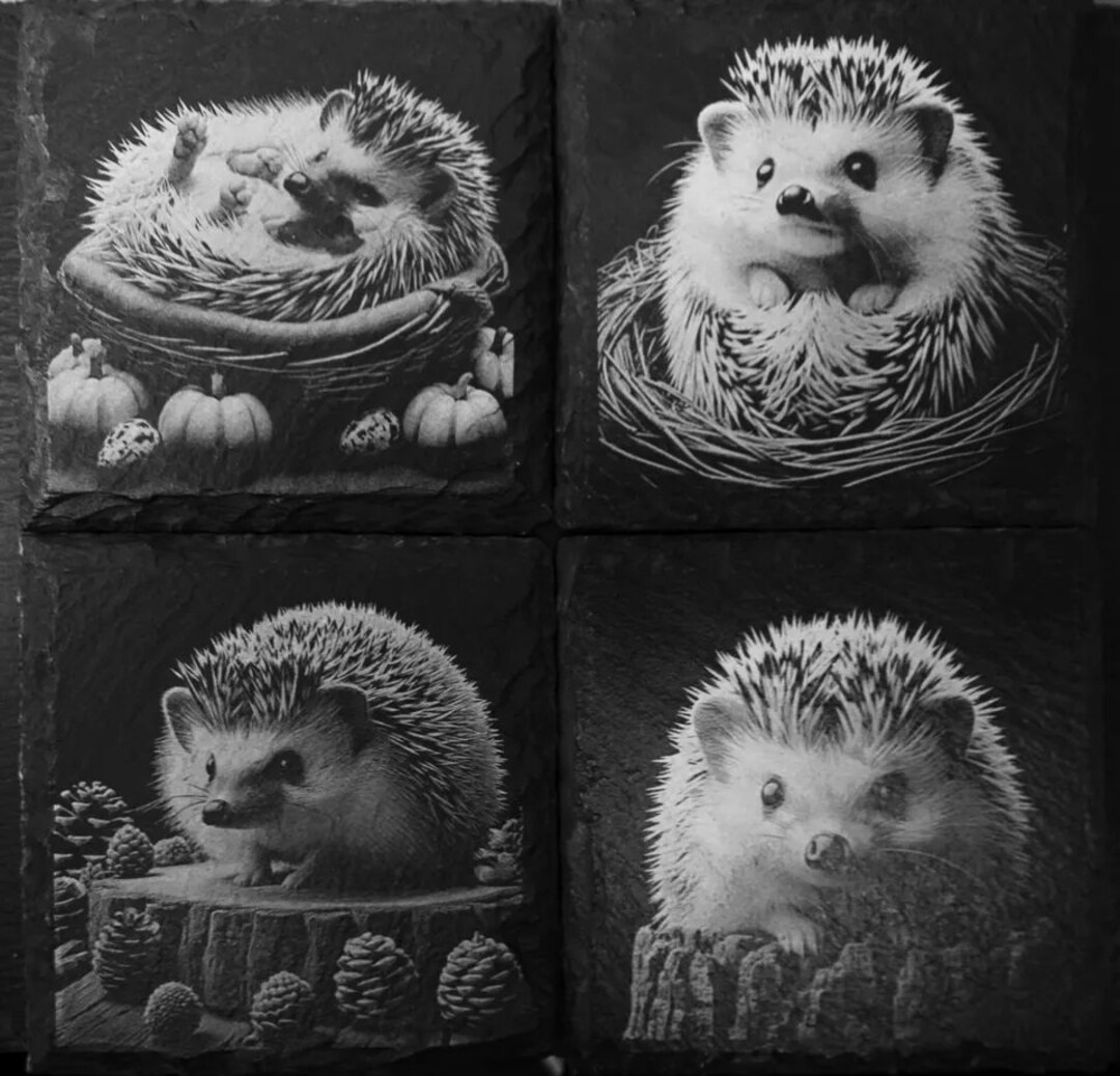 Collection of Hedgehog-themed Laser Engraved Slate Coasters Can Be ...
