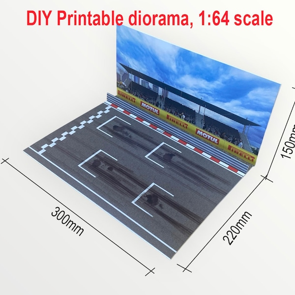 1/64 Race Diorama - Etsy UK