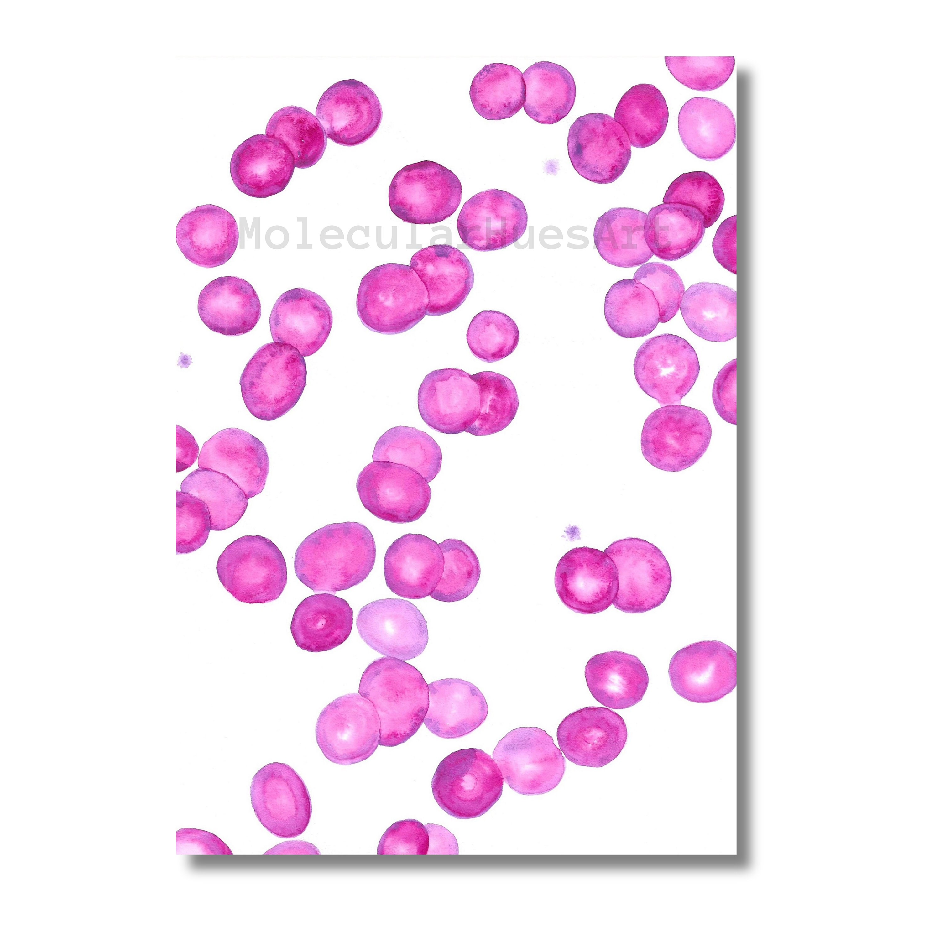 Erythrocytes Red Blood Cells Water Color Painting Digital File Instant ...