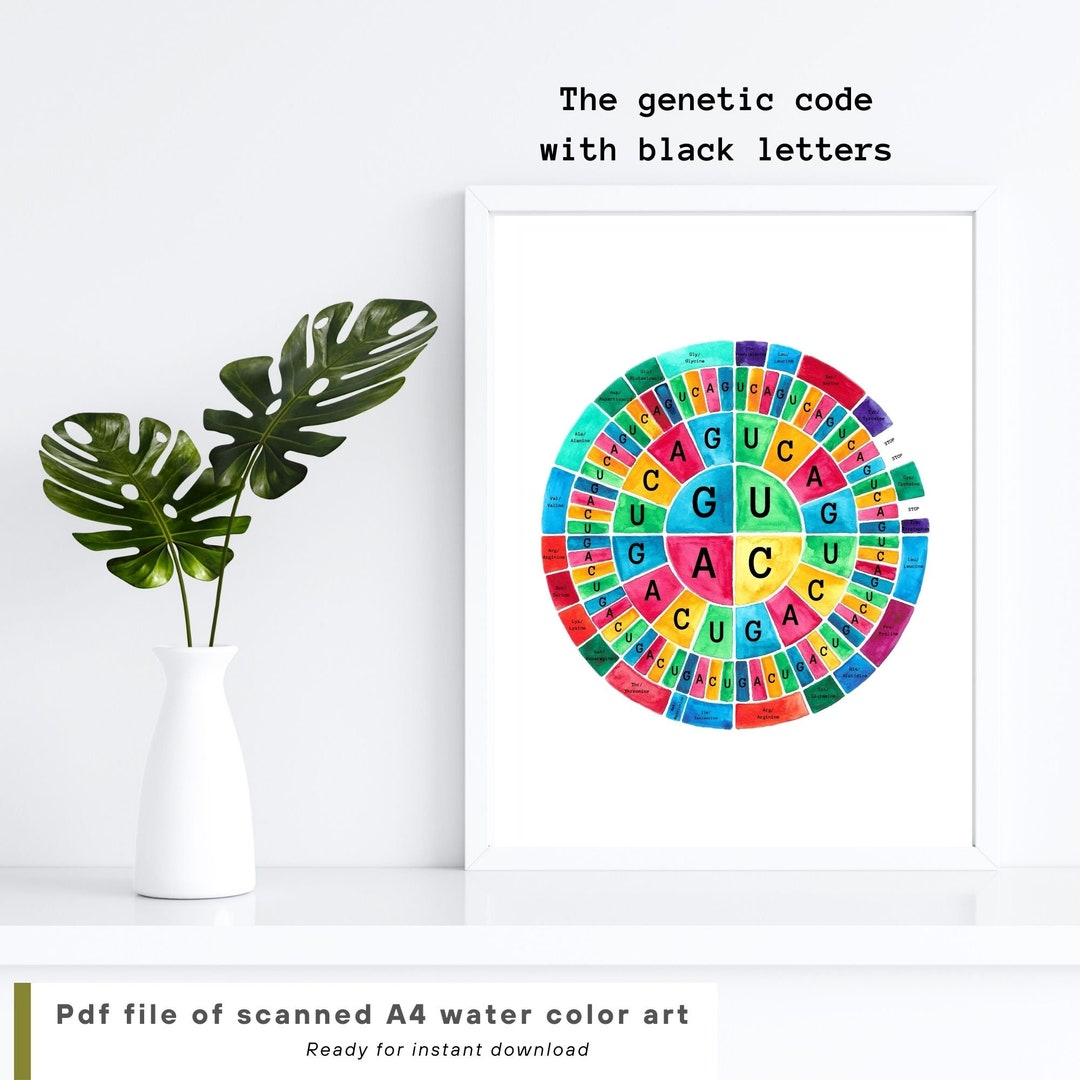 The Genetic Code Digital File of a Watercolour Painting Molecular ...