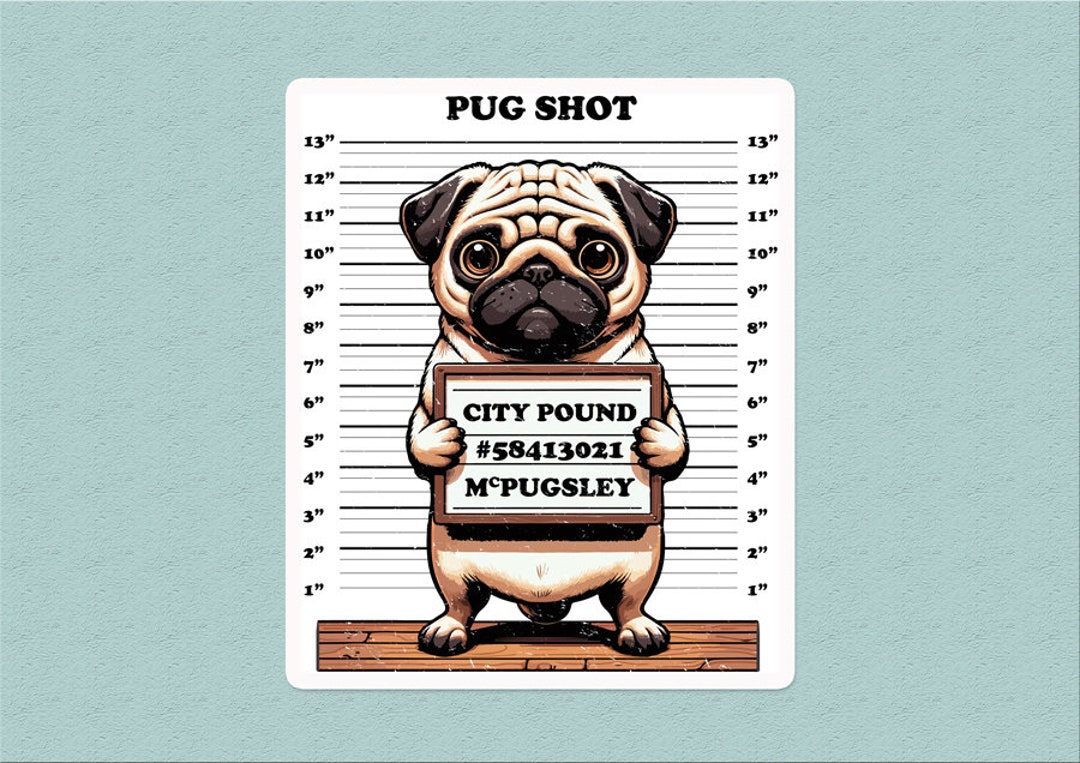 Pug Shot Lineup Pug Sticker | Bad but Cute | Funny Doggo Mugshot ...