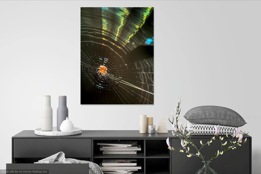 A Photograph of a Spider and Its Iridescent Web, Printable Wall Art ...