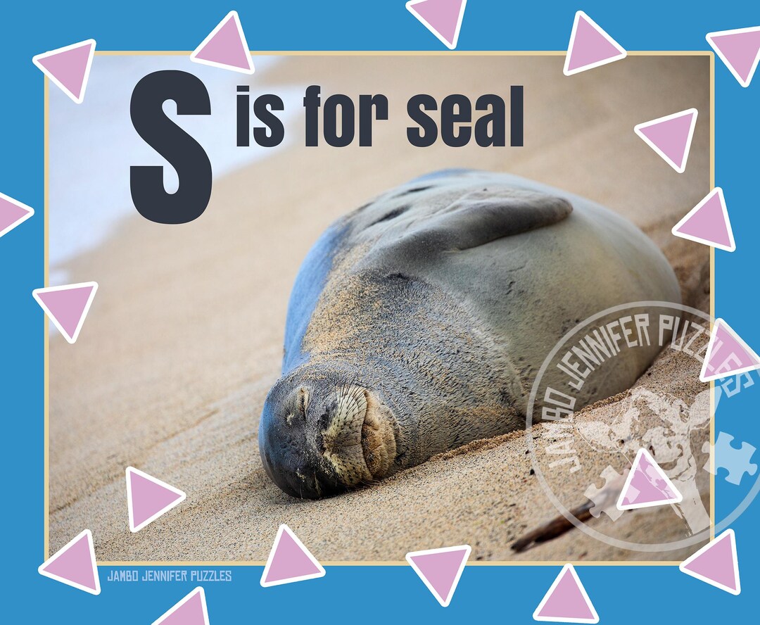 S is for Seal Puzzle - Easy 20 Piece Alphabet Puzzle for Preschoolers ...