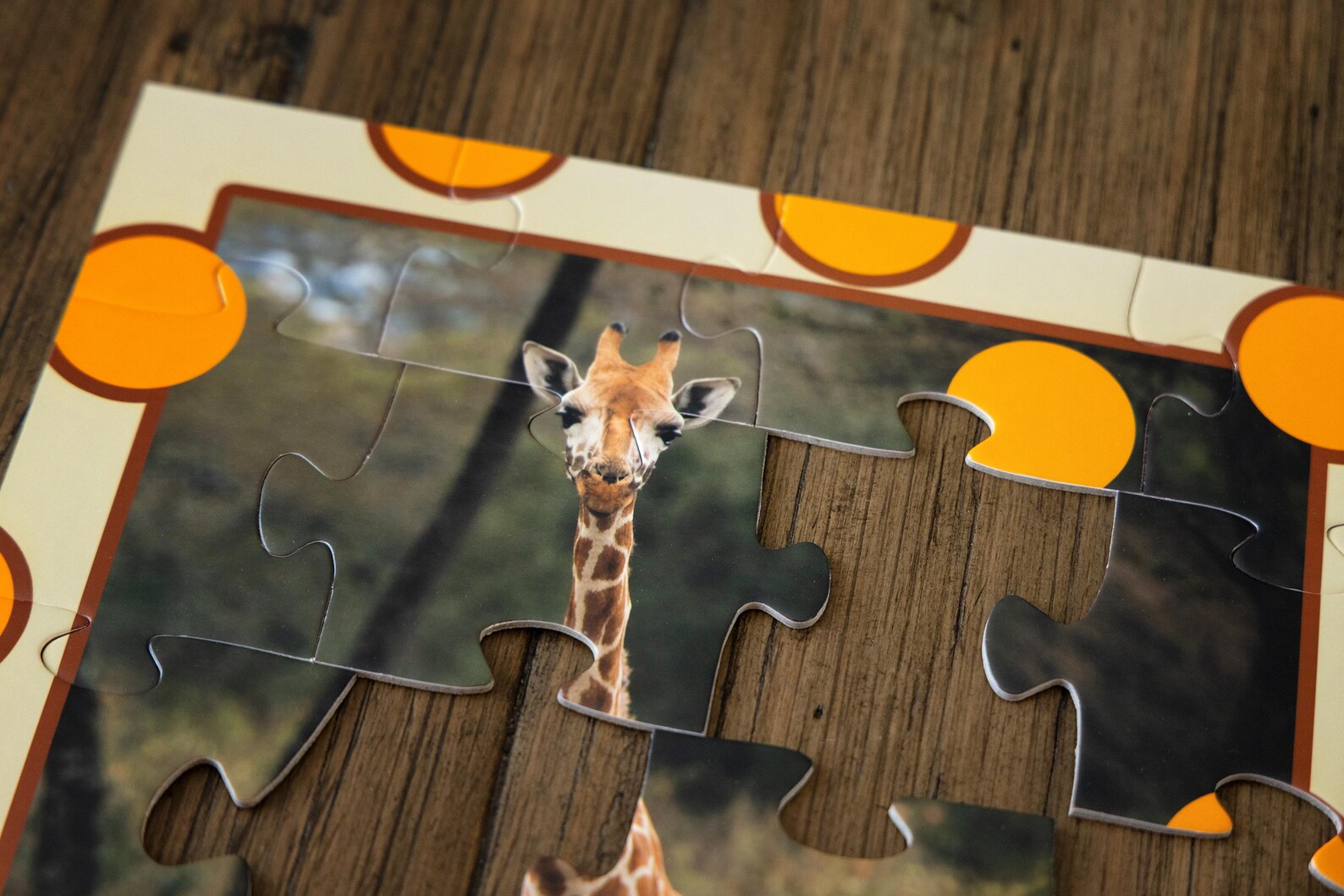 G is for Giraffe Puzzle - Easy 20 Piece Alphabet Puzzle for ...