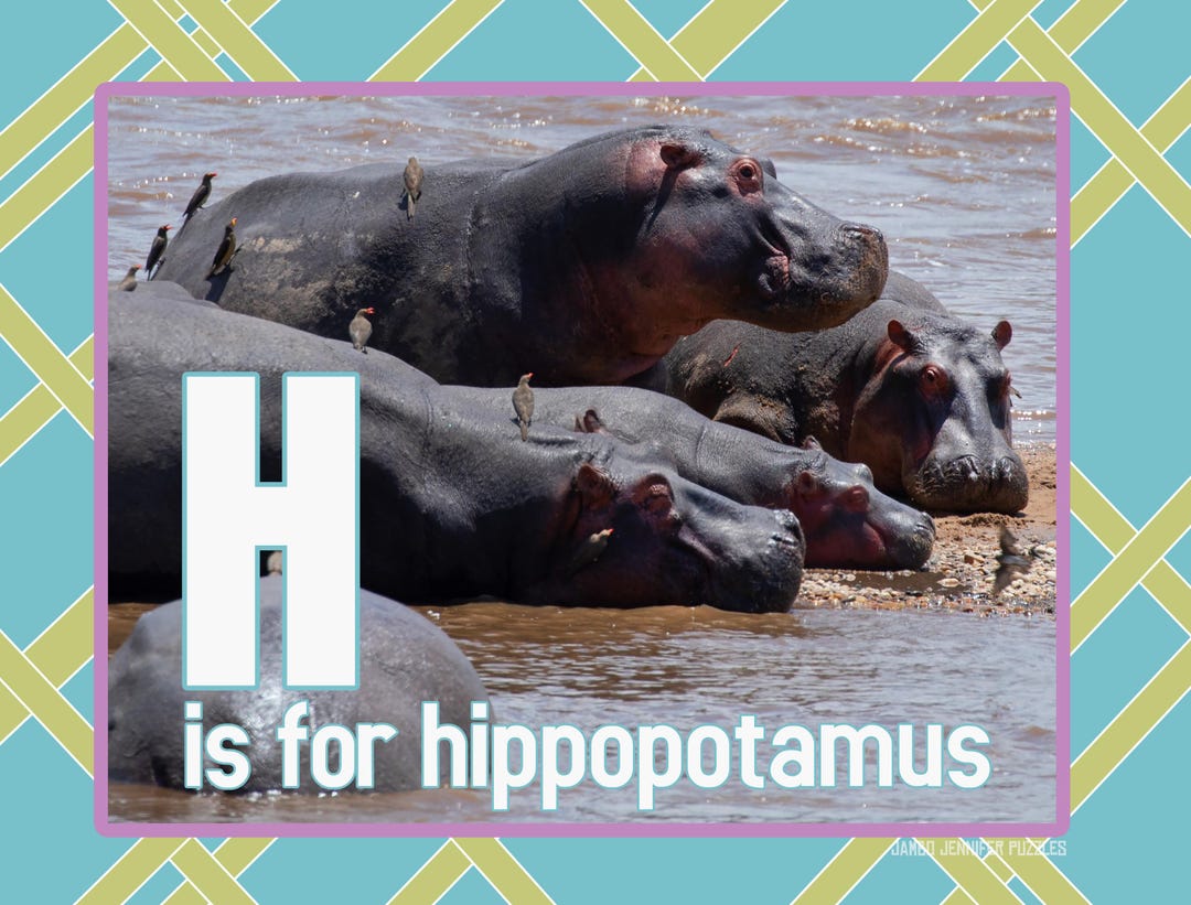 H is for Hippo Puzzle for Preschoolers - Great for Homeschool or ...