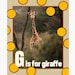 G is for Giraffe Puzzle - Easy 20 Piece Alphabet Puzzle for ...