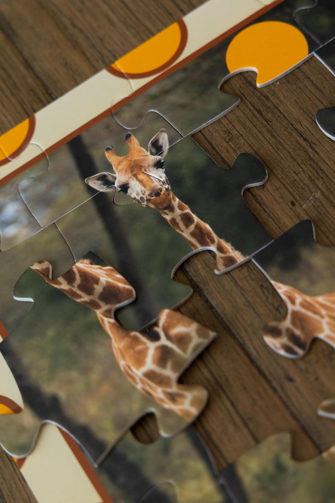 G is for Giraffe Puzzle - Easy 20 Piece Alphabet Puzzle for ...