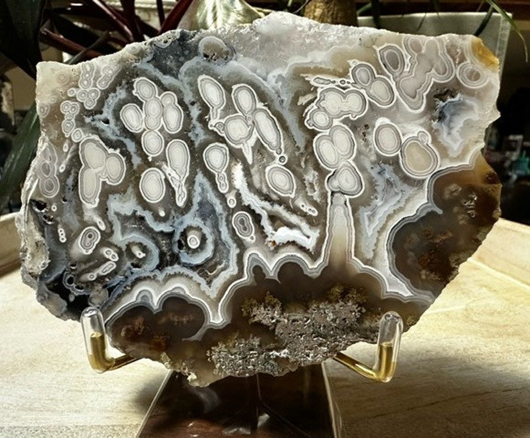 Stunning and Rare Orbicular Scenic Moss Agate Slab A - Etsy
