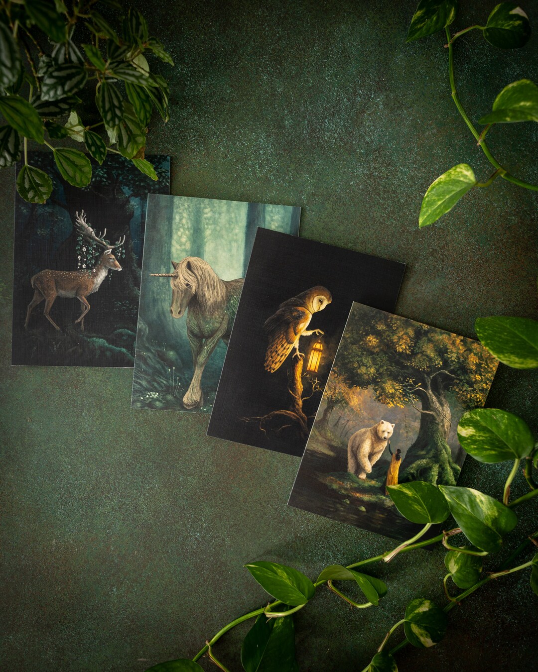 Set of 4 Animal Guides Greeting Cards by Sam Mckinnon - Animal Art Card ...