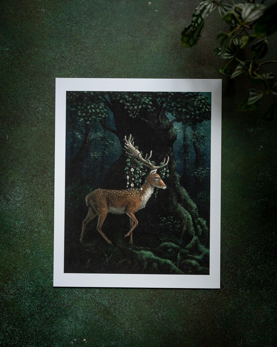Enchanted Stag Signed Art Print by Sam Mckinnon - Stag Art Card, Forest ...