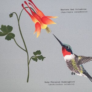 Native Plant Garden Sign | Pollinator Habitat Sign | Pollinator Garden ...