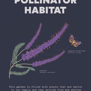 Native Plant Garden Sign | Pollinator Habitat Sign | Pollinator Garden ...