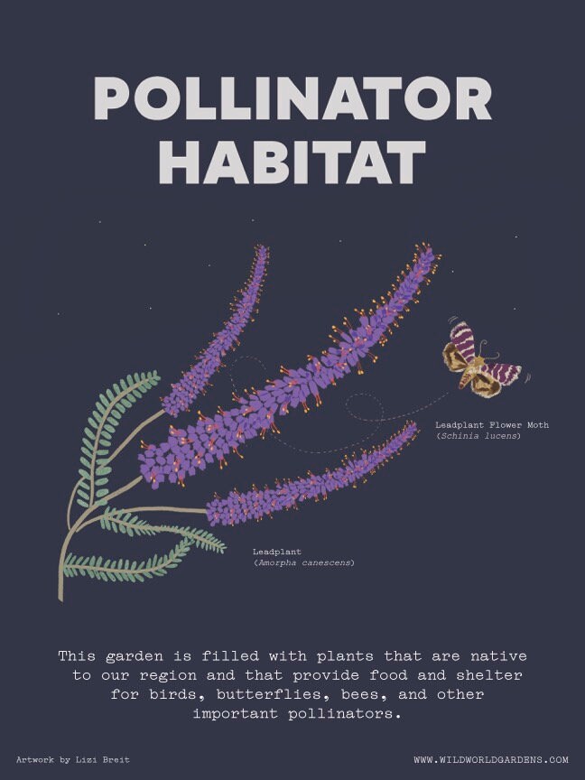 Native Plant Garden Sign | Pollinator Habitat Sign | Pollinator Garden ...