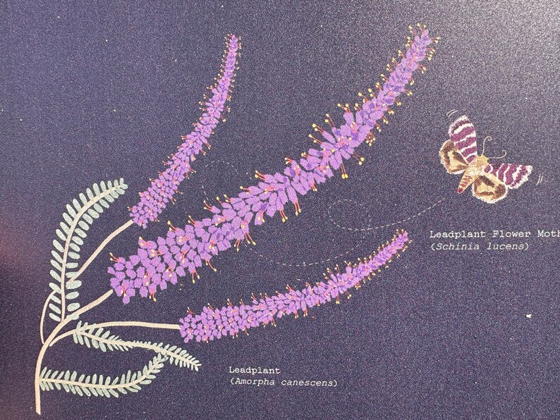 Native Plant Garden Sign | Pollinator Habitat Sign | Pollinator Garden ...
