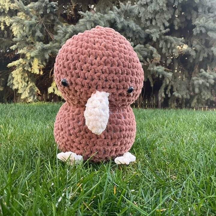 Kiwi Kevin Crochet Bird Plushie by Pumpkinpwuff Handmade Plush Stuffed ...