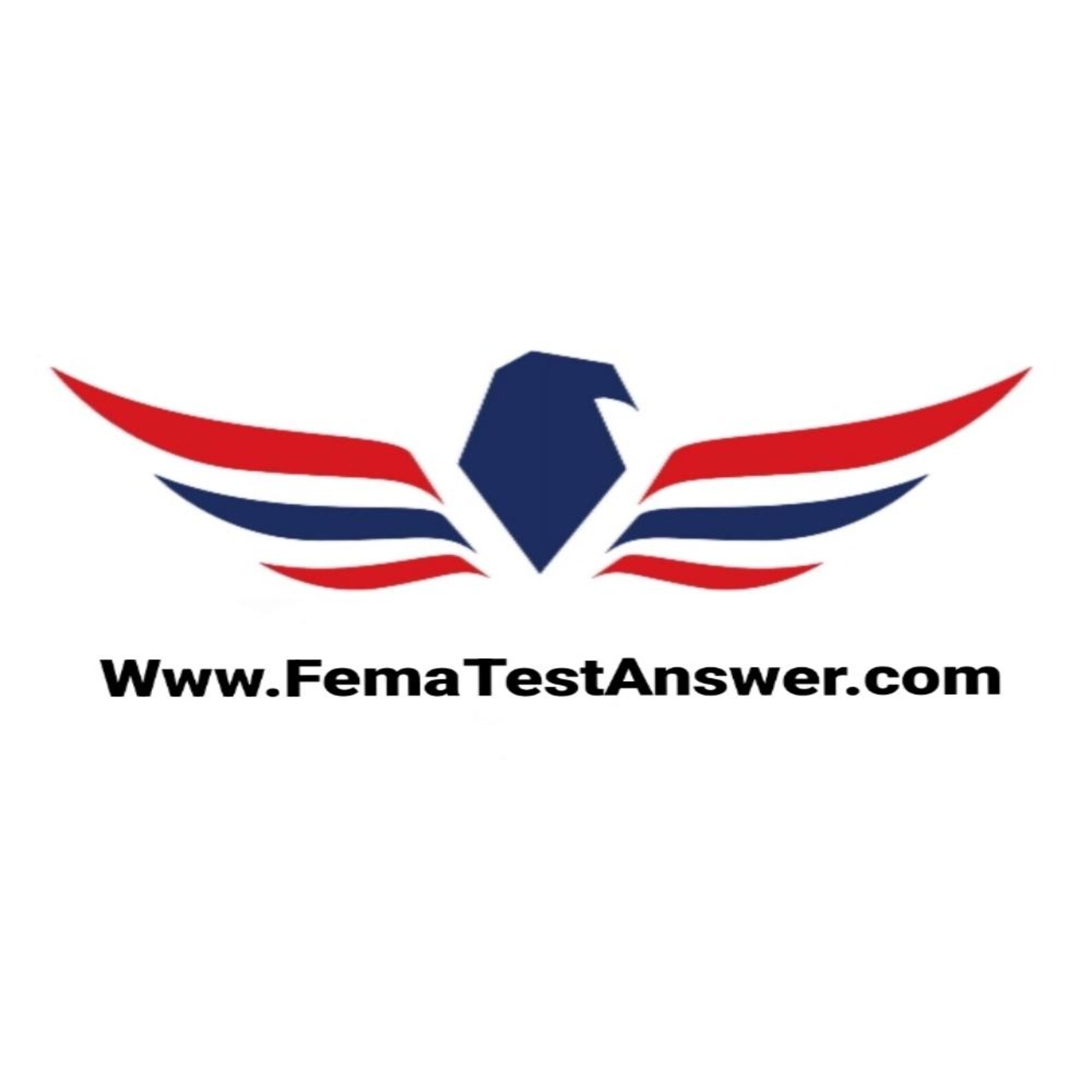 IS-26: 2023 Edition Guide to Points of Distribution Fema Test Answers ...