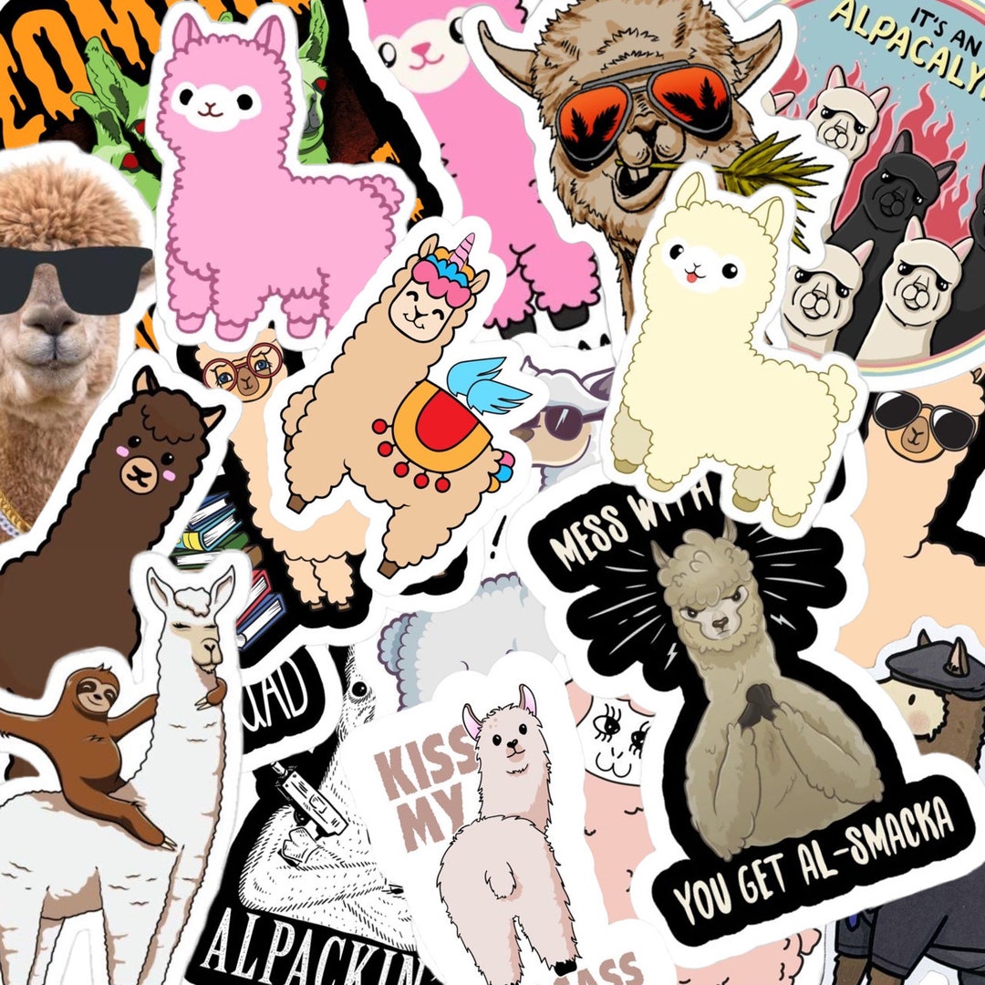 40 Piece Cute Alpaca Sticker Pack Water Bottle Stickers Laptop Stickers ...