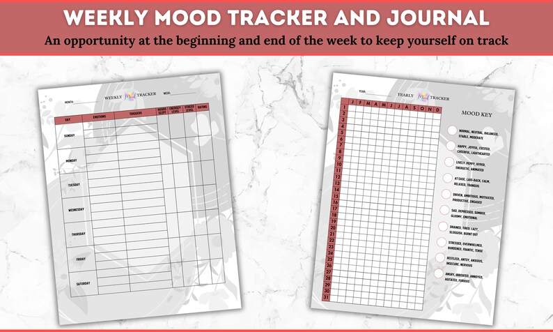 Mood Tracker Journal for Teenage Girls, Monthly, Weekly, and Daily ...