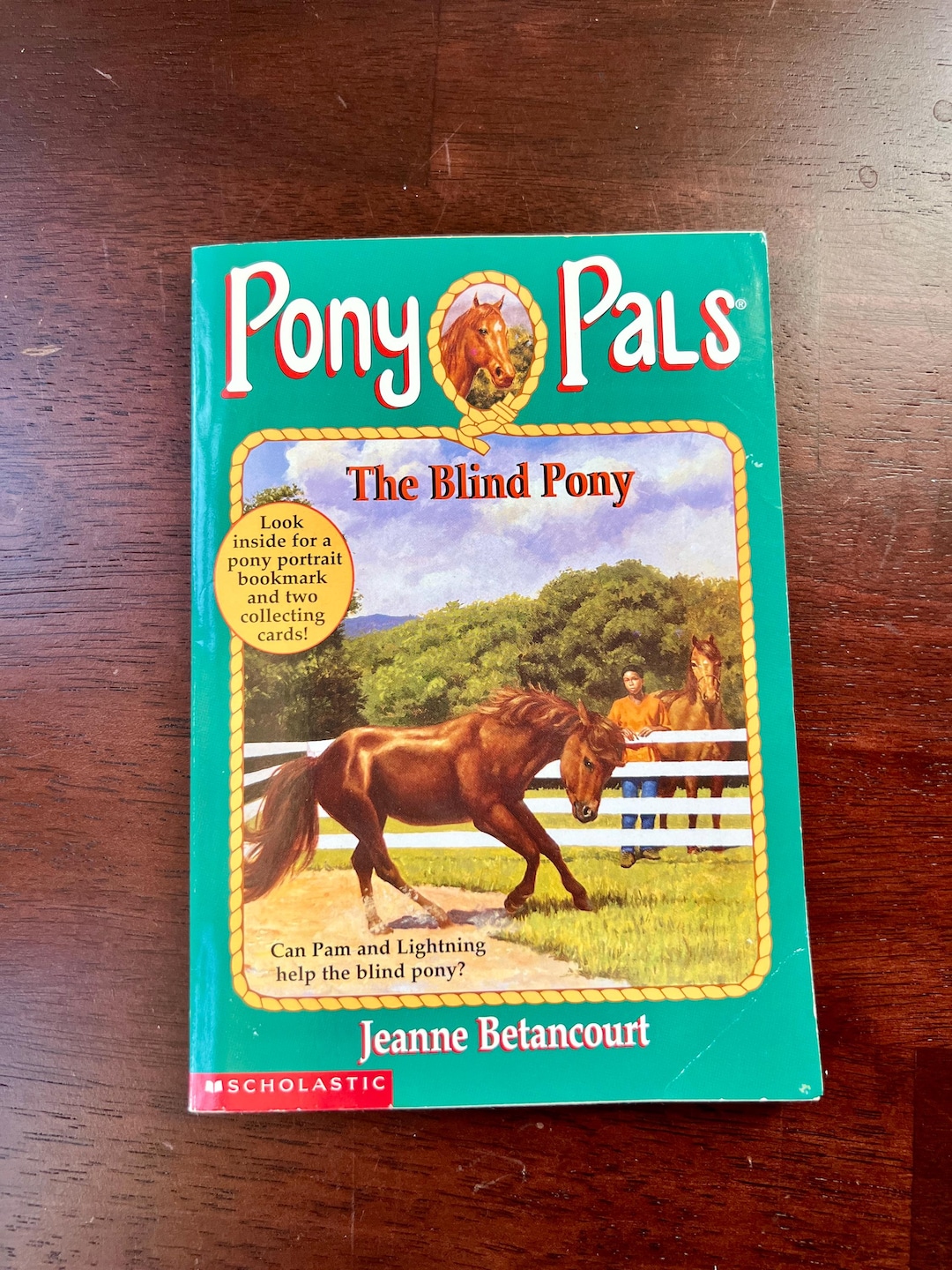 Pony Pals 15 Pony-sitters Vintage 90s Early Reader Chapter Book for ...
