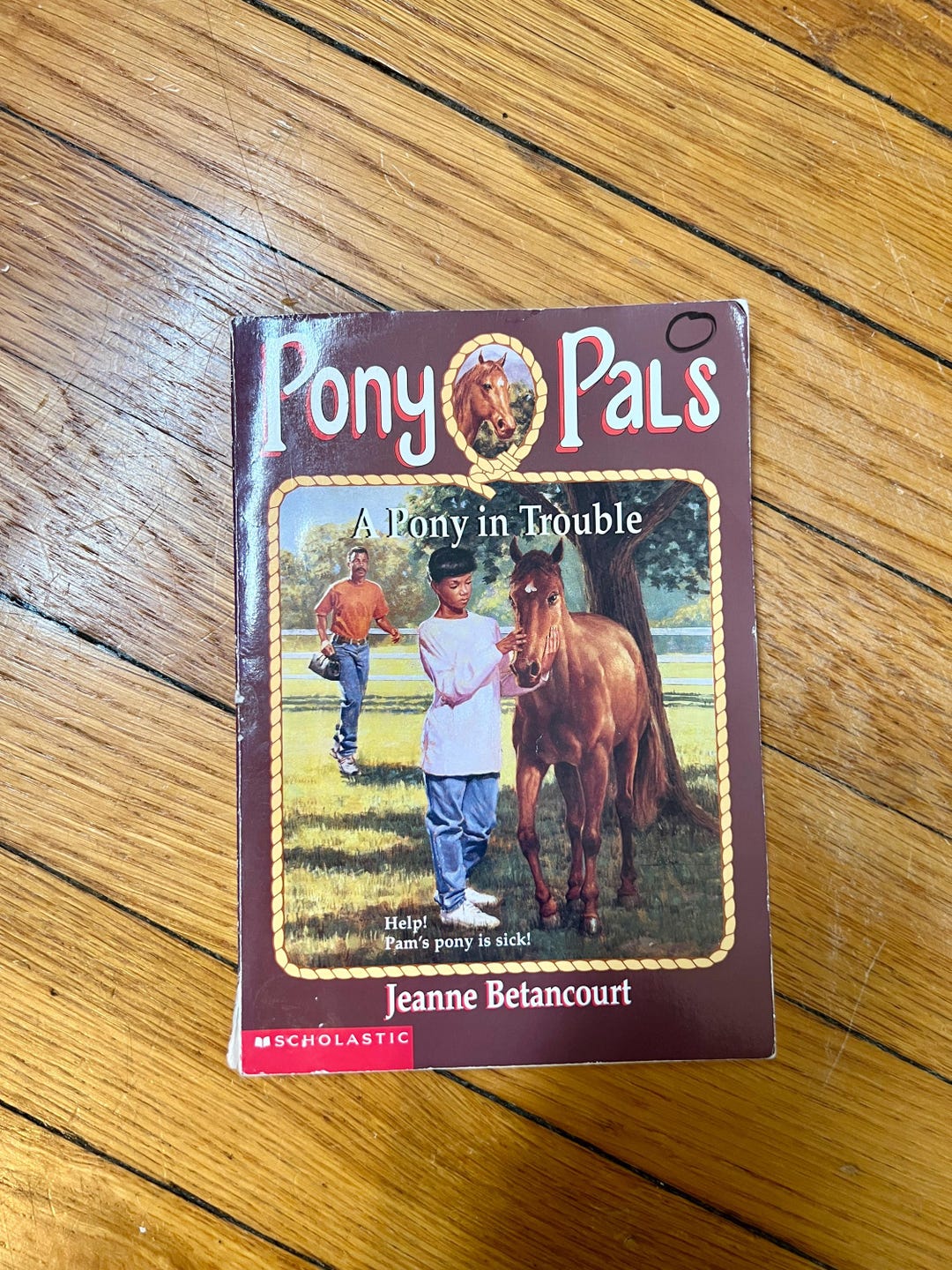 Pony Pals #3 A Pony in Trouble Vintage 90s Early Reader Chapter Book ...