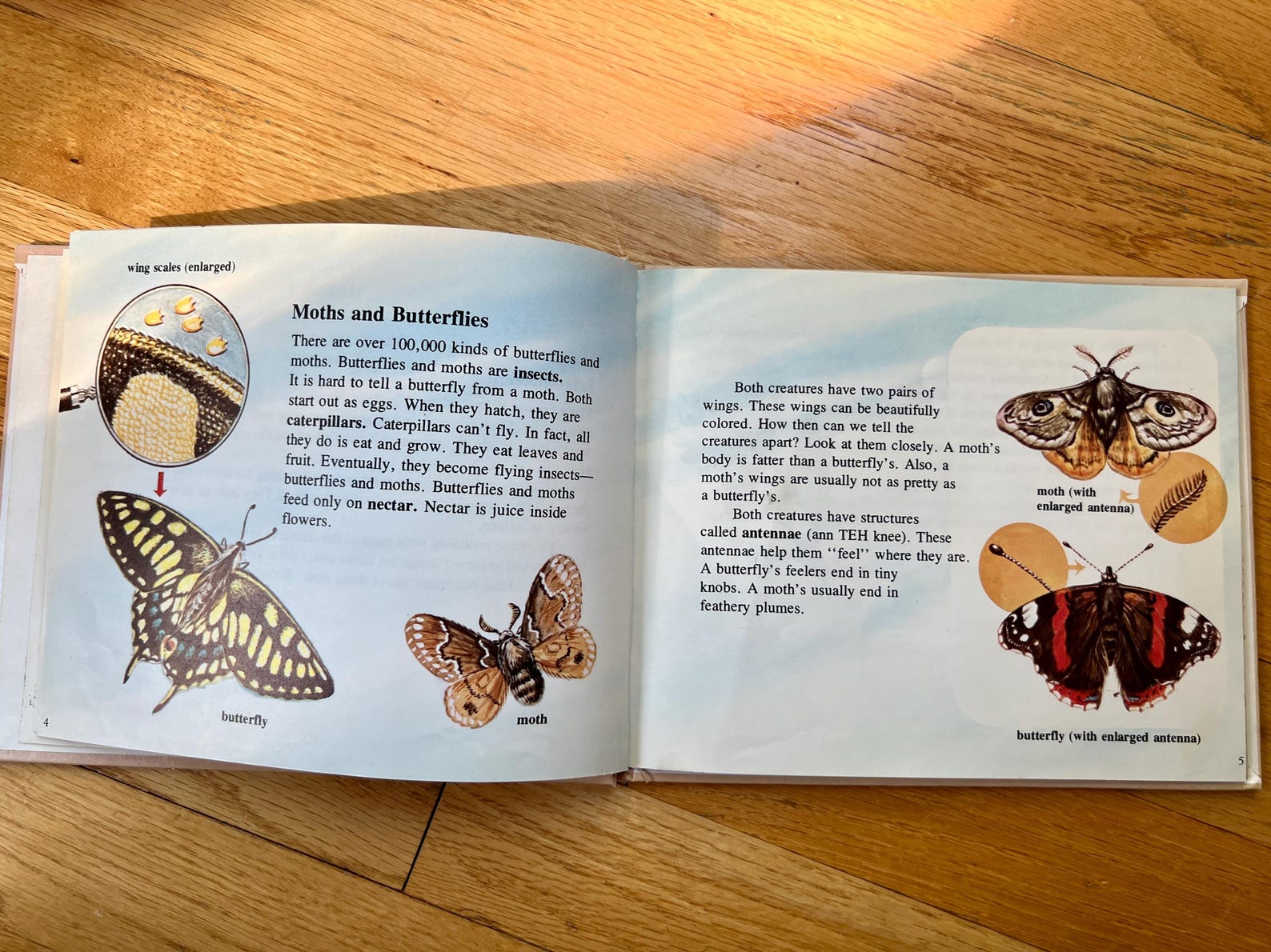 Creatures That Look Alike 1970s Vintage Children's Nature Science ...